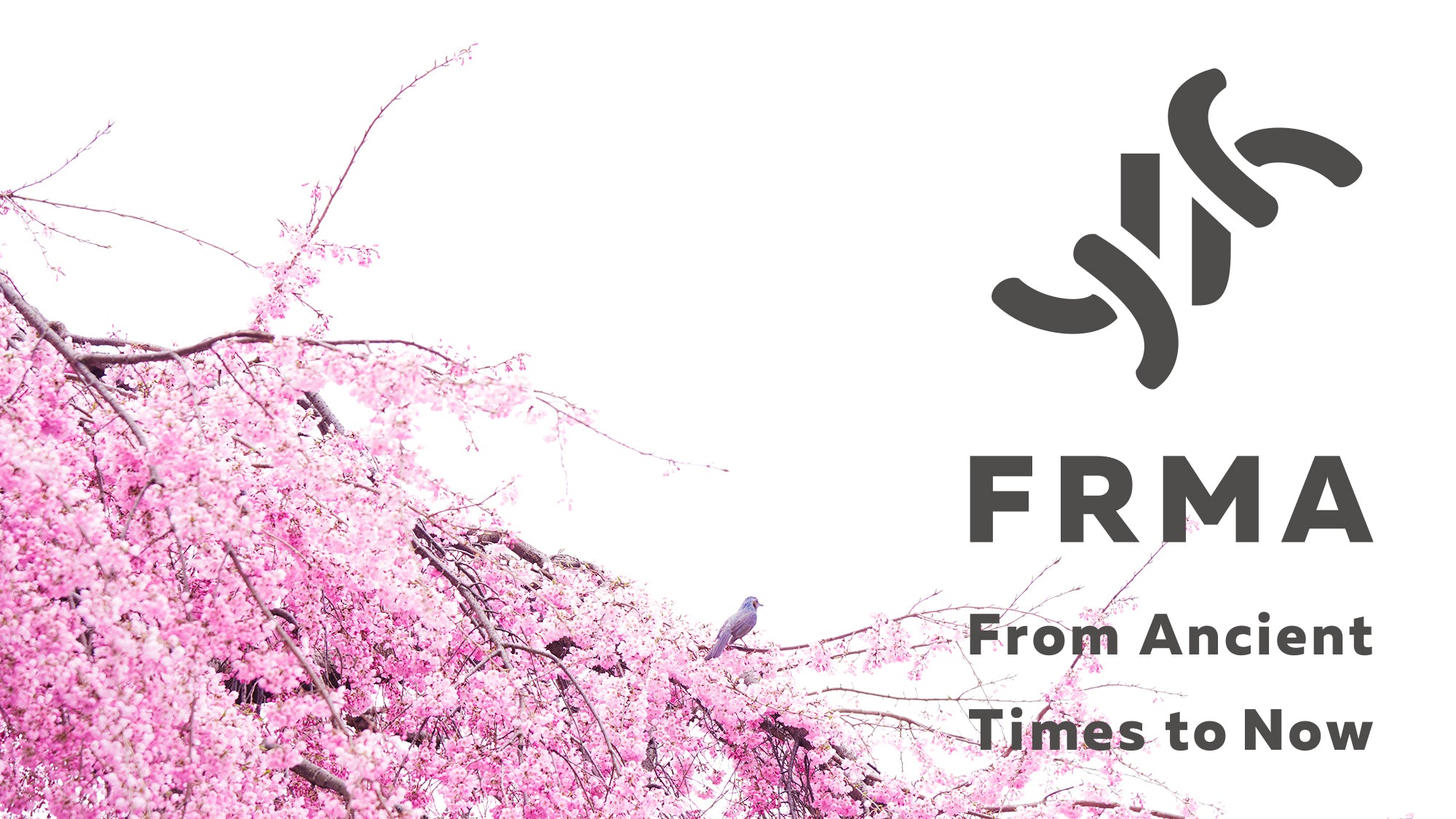 MARKET 2024.10.14 月の集い ホリスティックマーケット – FRMA